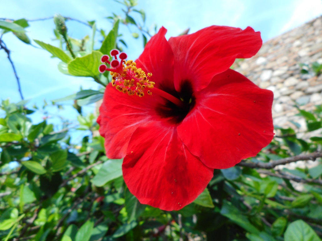 Becoming a Better Presenter – cococatani